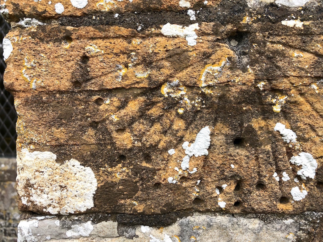 CHESELBOURNE . DORSET . ST MARTIN – Scratch Dial, Old Dial (1631 ...