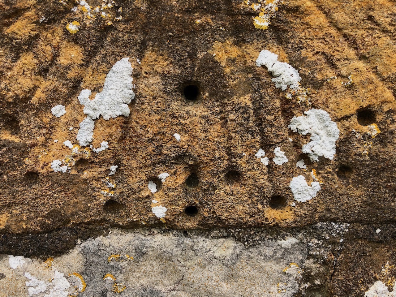 CHESELBOURNE . DORSET . ST MARTIN – Scratch Dial, Old Dial (1631 ...