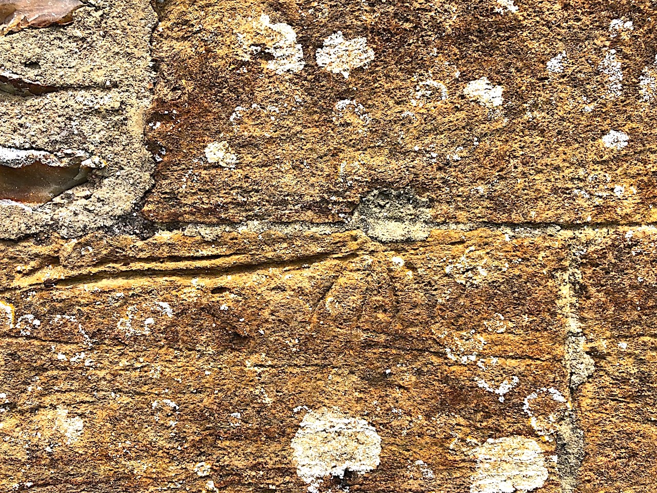 Ashill Church Blessed Virgin Mary Somerset – GAUDIUM SUB SOLE ...