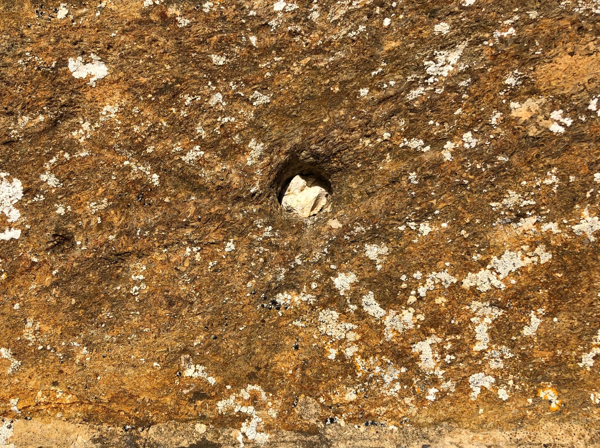 NETHER COMPTON . DORSET . ST NICHOLAS – 3 Scratch Dials – GAUDIUM SUB ...