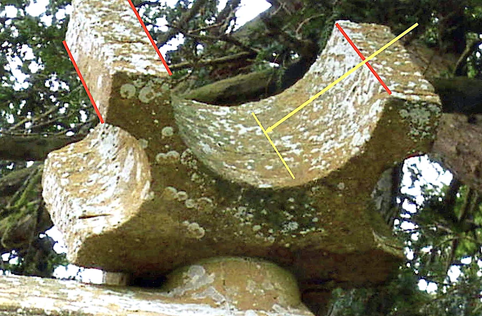 TINTINHULL . SOMERSET . ST MARGARET OF ANTIOCH – Triple Polar Scaphe ...