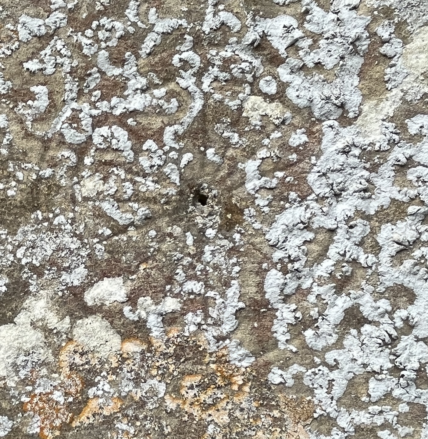 CHITTERNE OLD CHURCH (Chapel of St Mary) . WILTS – Scratch Dial ...