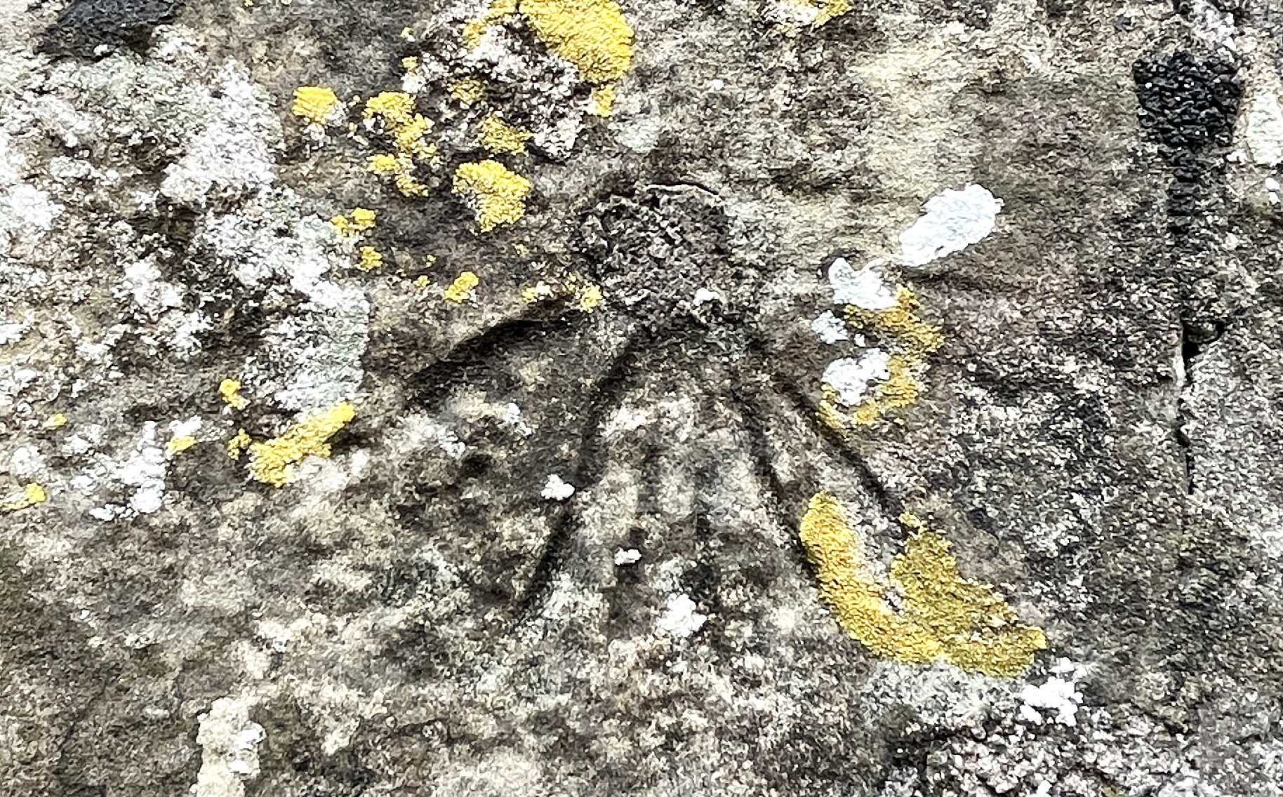 MAIDEN BRADLEY (1) . WILTS. ALL SAINTS – Scratch Dial – GAUDIUM SUB ...